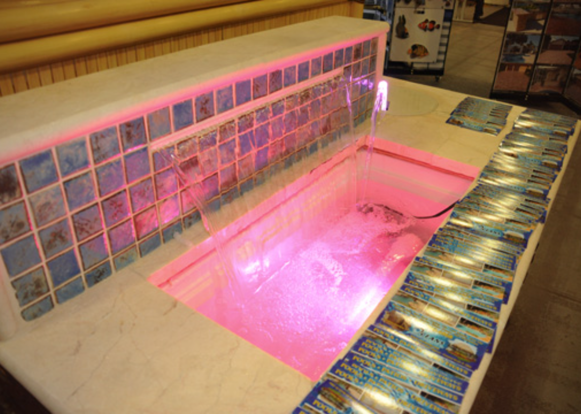 Hot Tub Blowout Sale - Texas Home Show